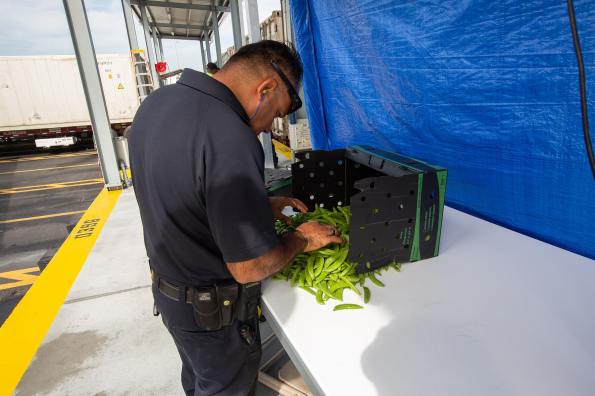 All About Customs Clearance, A Guide By Crowley Logistics